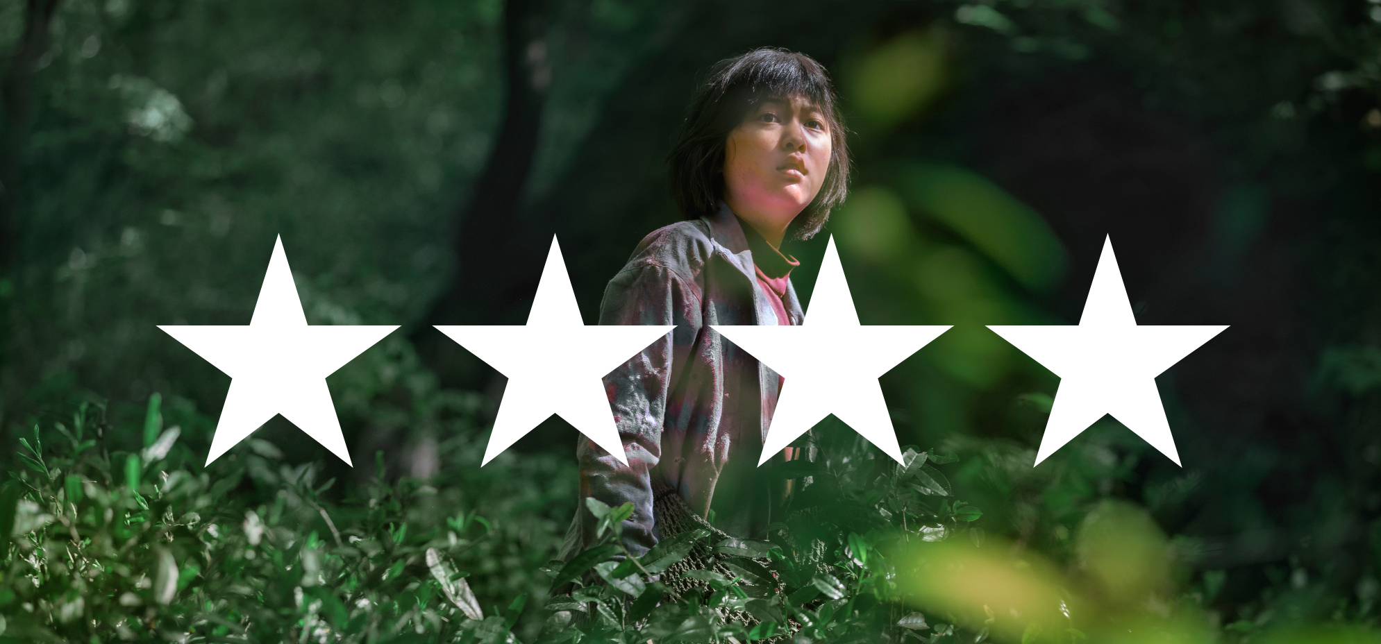 Okja Review – Inside for kids – A Grand Quiet